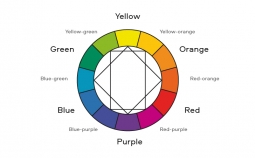 Color Theory for Beginners: Itten’s Color Wheel